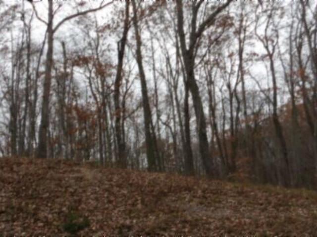 Lot 23 Cumberland Cove Rd, Monterey, TN 38574 | MLS #1324