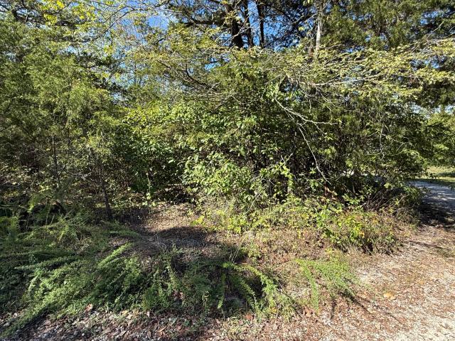Lot 23 Daisy Lane