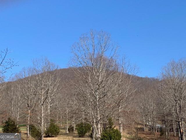 LOT 23 Long Mountain Trail