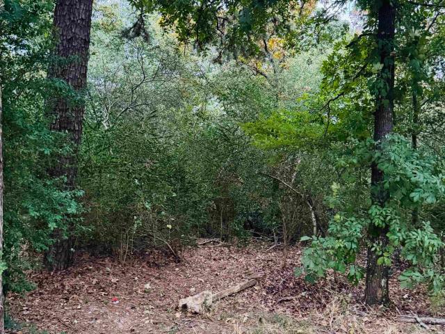 Lot 23 Lee Summit Dr
