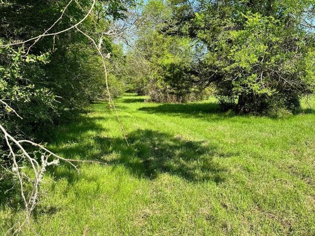 LOT #23 Southfield Trail