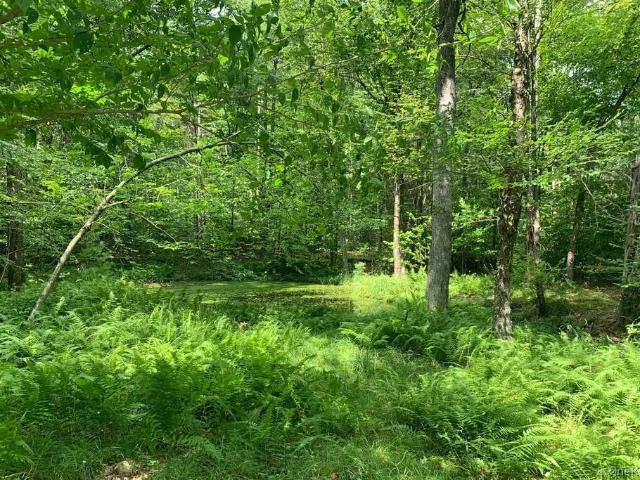 Lot 23 Woodstone Trail, Bethel, NY 12720 | MLS #903318