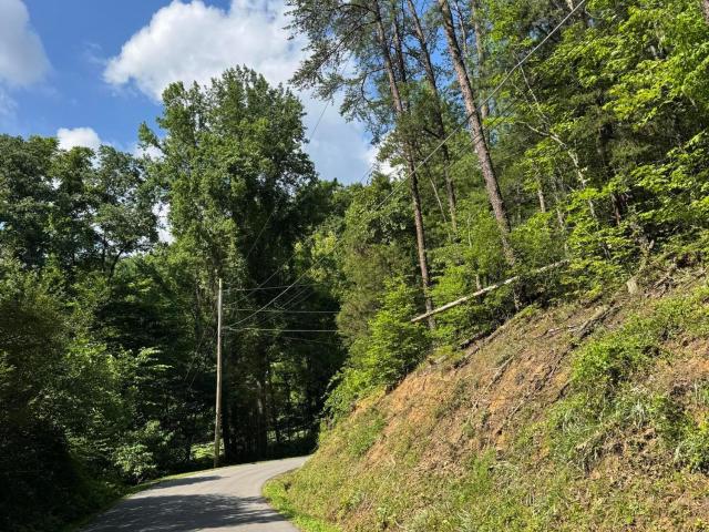 Lot 23 Walden Ridge Rd
