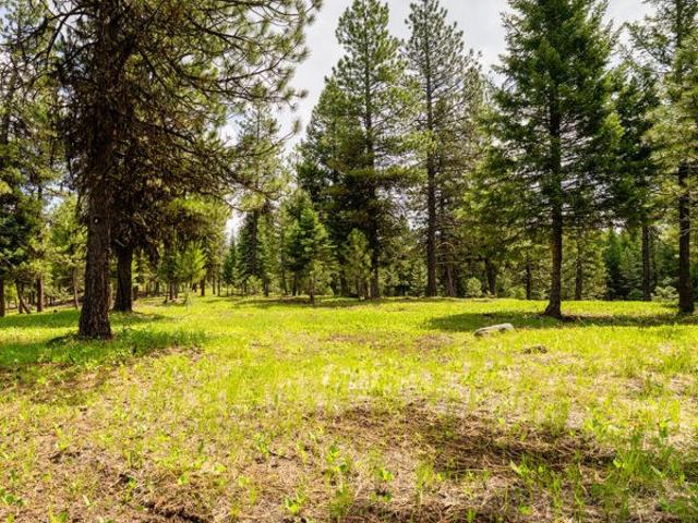 Lot 23 To Be Determined, Unit 23, McCall, ID 83638 | MLS #541693 | Compass