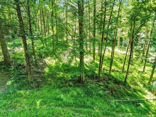 Lot 23A Walleye Way