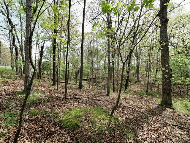 Lot 23B Hummingbird Road