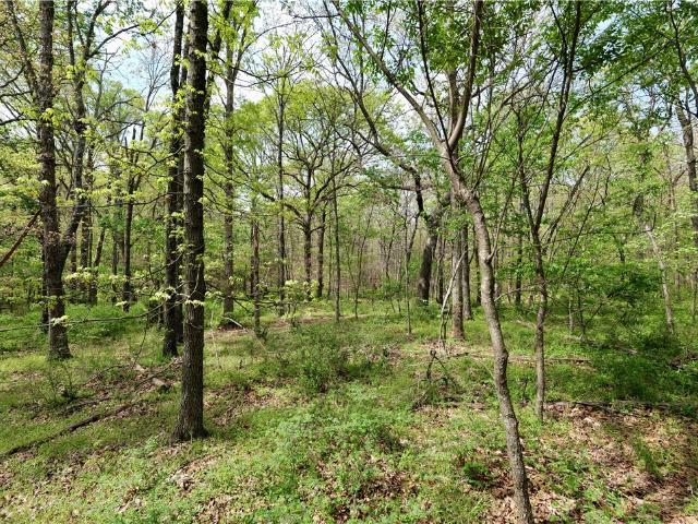 Lot 23CC Hummingbird Road