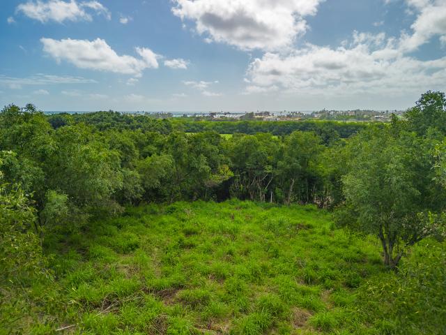 Lot 244 a 5 Apopo Rd, Kapaa, HI 96746 | MLS #718282