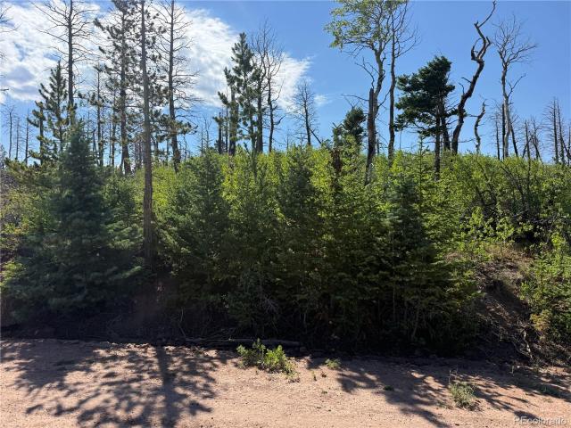 Lot 2499 Gilmartin Lane