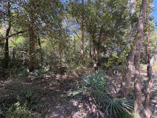 Lot 242 Mehringer Rd, Shepherd, TX 77371 | MLS #59702