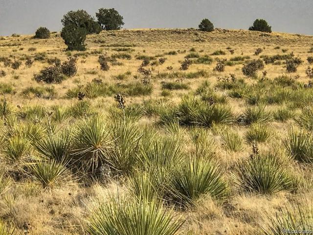 Lot 243 Turkey Ridge Ranch