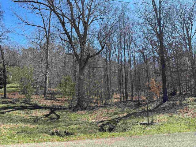 Lot 24 bruton branch rd