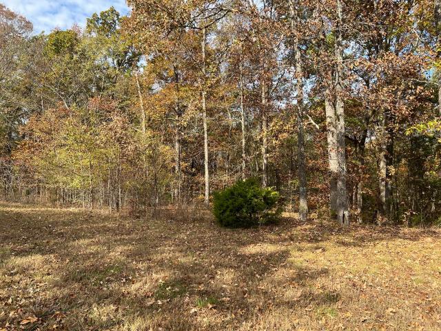 Lot 24 Haynes Cemetery Road