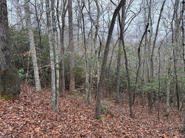 Lot 24 Ideal Acres