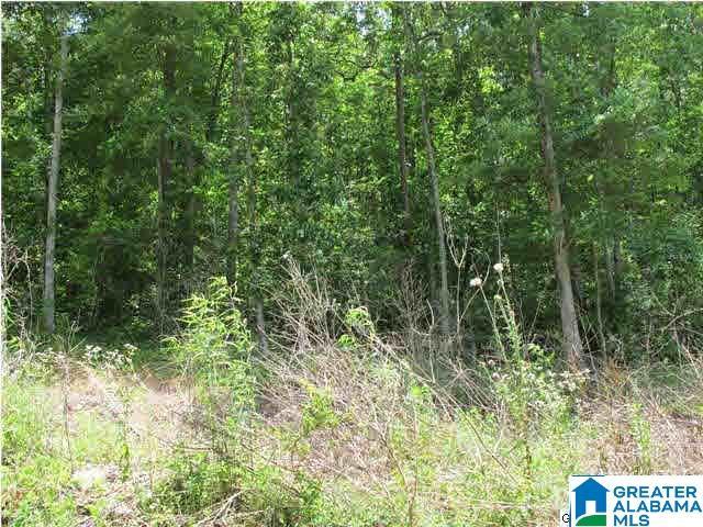 Lot # 24 Mandy Drive # 24