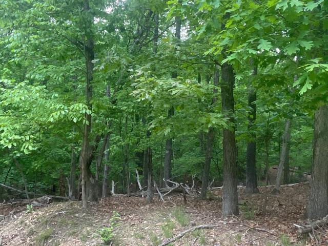 Lot 24 Maple Ln, Bluemont, VA 20135 | MLS #VACL2003 | Compass