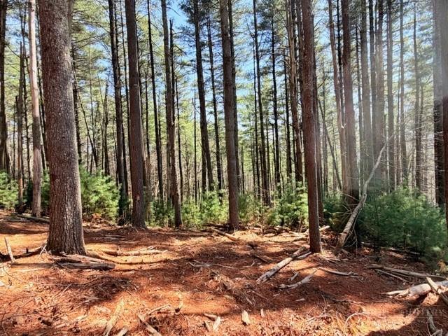 Lot 24 New River Overlook