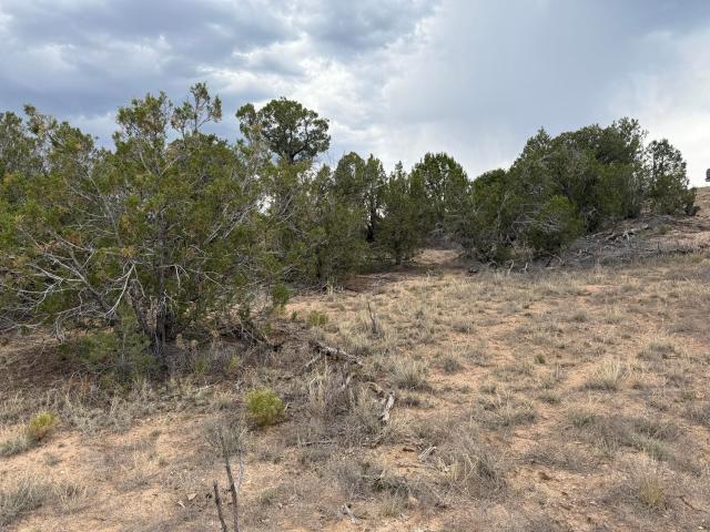 Lot 24 Stagecoach Trail