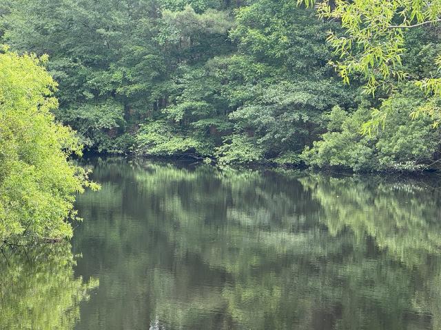Lot 24 Peaceful Lakes Dr