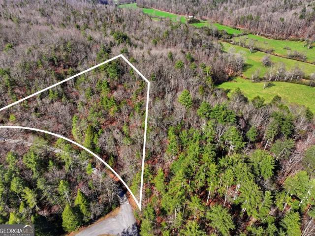 LOT 24 Pickett Mill Lane