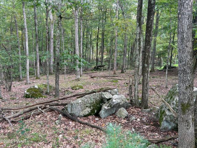 Lot 24 Willow Drive