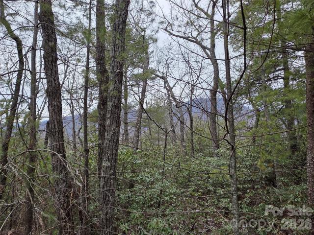Lot 24A 28A Quail Drive