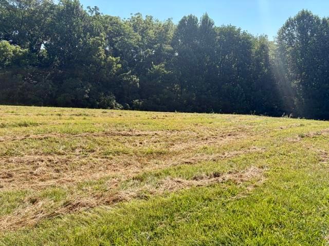 Lot 24C & 24D Emerald Lane