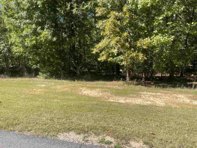 Lot 255 Old South Rd, Counce, TN 38326 | MLS #10207