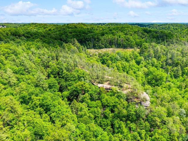 Lot 256 Cedar Bluff Street