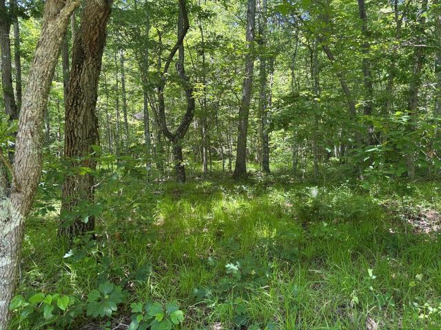 Lot 257 Buck Circle