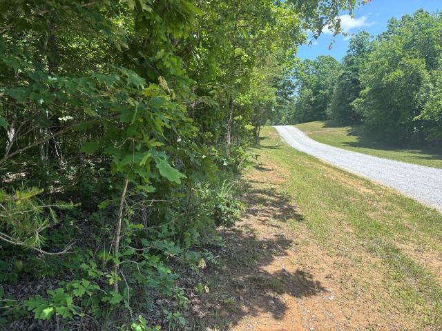 Lot 251 Buck Circle