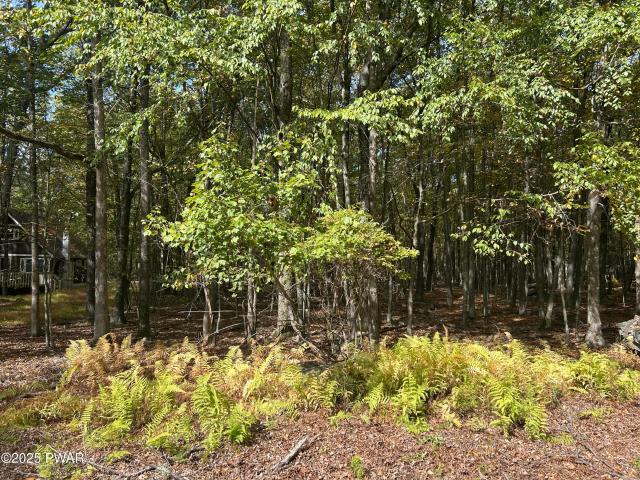 Lot 251 W Chipmunk Road