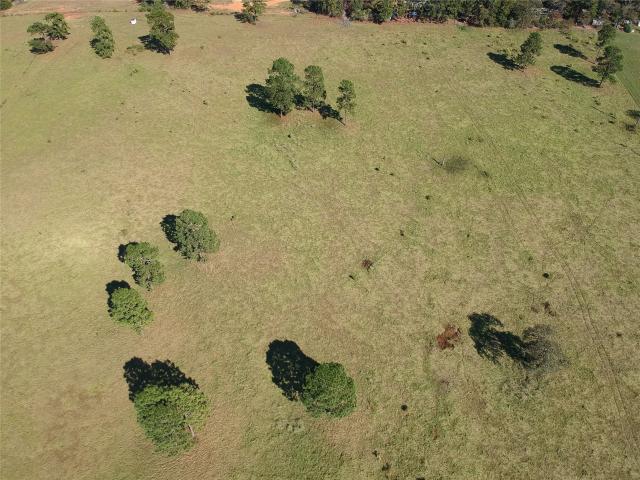 Lot 252 Lakeland Ranch