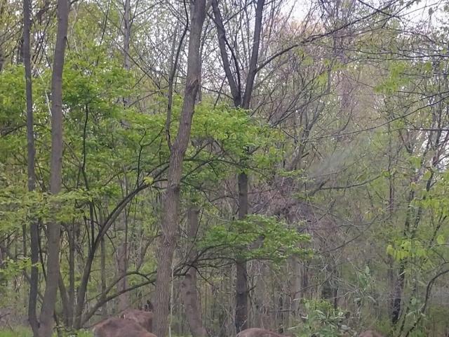 Lot 253 Ottawa Circle