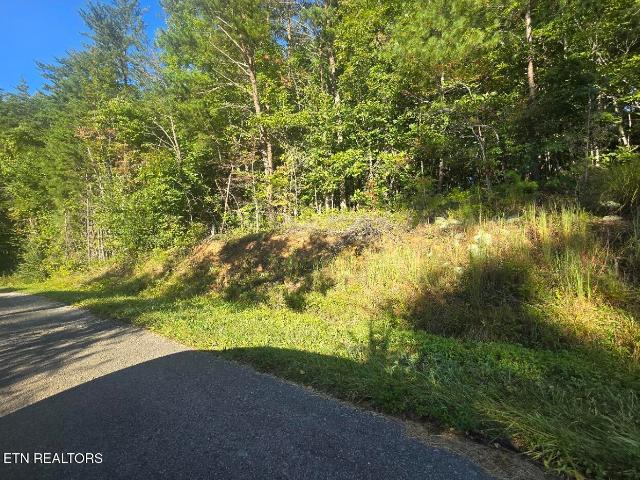 Lot 25 26 Summit Drive