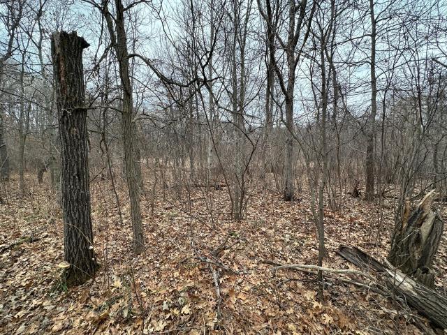Lot 25 County Rd 11