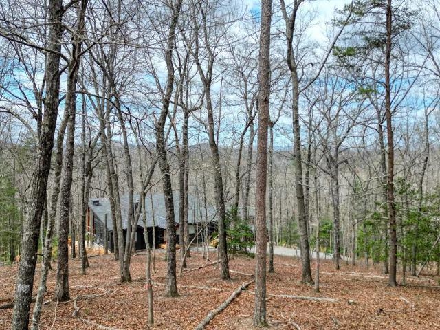 Lot 25 Cross Creek, Mineral Bluff, GA 30559 | MLS #429195