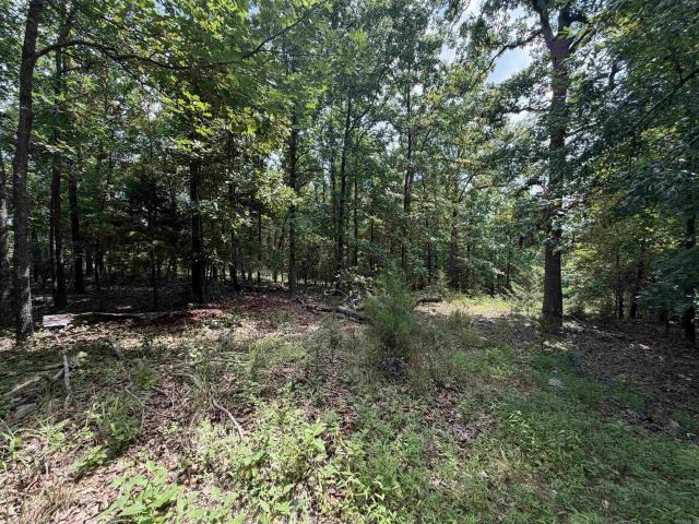 Lot 25 Blackfoot Drive