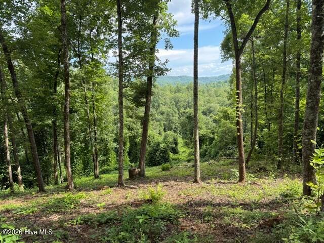 Lot 25 Bryson Creek Drive # 25