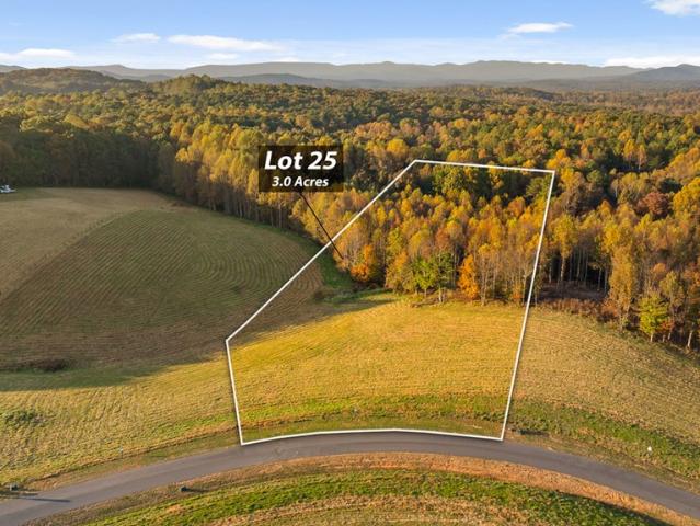Lot 25 Bravo Way, Talking Rock, GA 30175 | MLS #411285