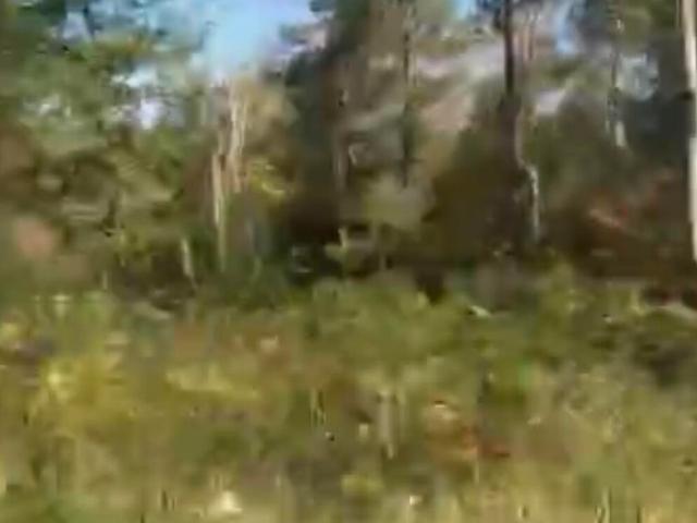 Lot #25 Buck Creek Circle