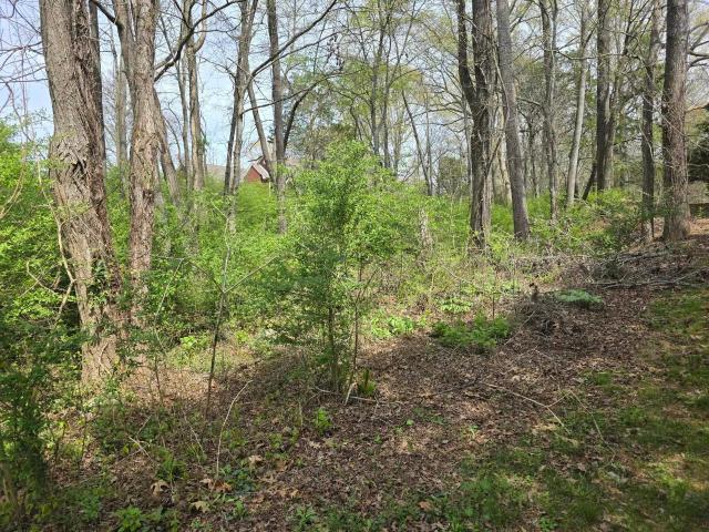 Lot 25 Davis Dr