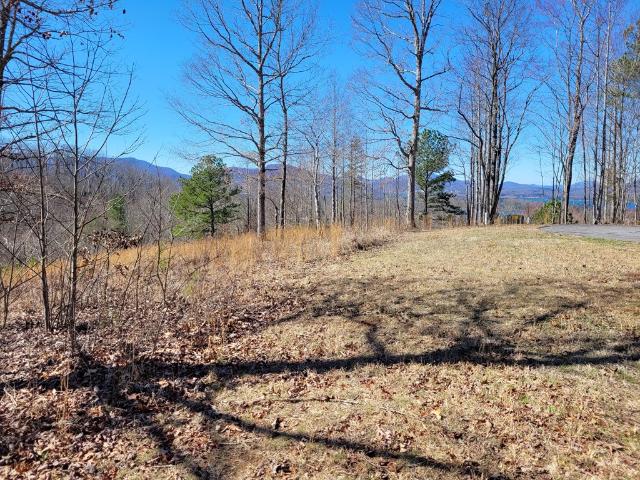 Lot 25 Dan Knob Dr, Hayesville, NC 28904 | MLS #402093 | Compass