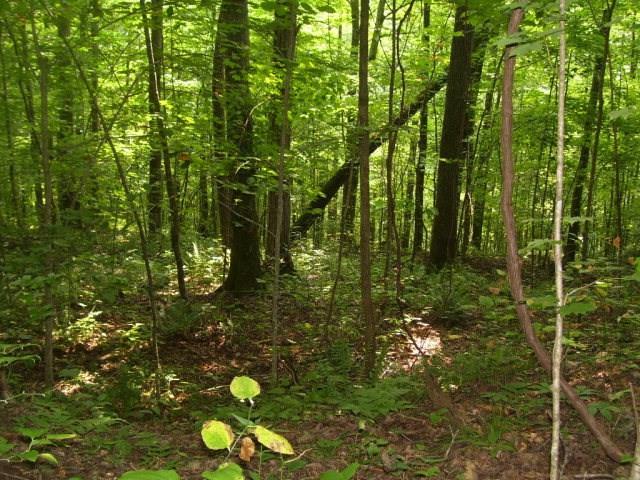 Lot 25 Key Ridge Lane