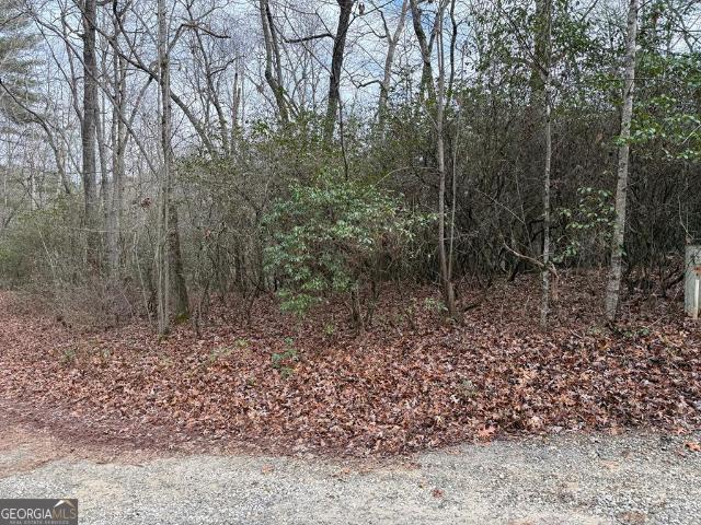 LOT 25 Ideal Acres