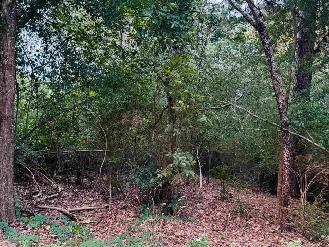 Lot 25 Lee Summit Dr