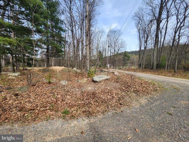 LOT 25 Shumac Trail