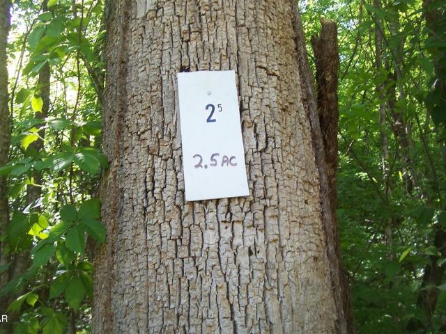 Lot 25 Splendor Way
