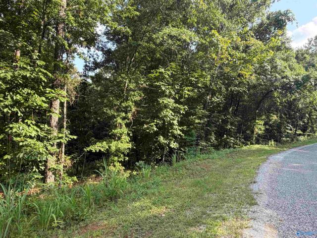 Lot 25 Yellow Creek Road