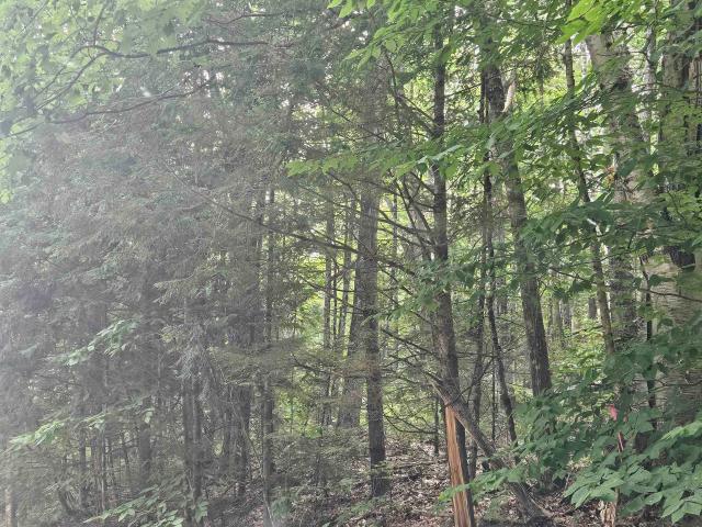 Lot 265 King Drive